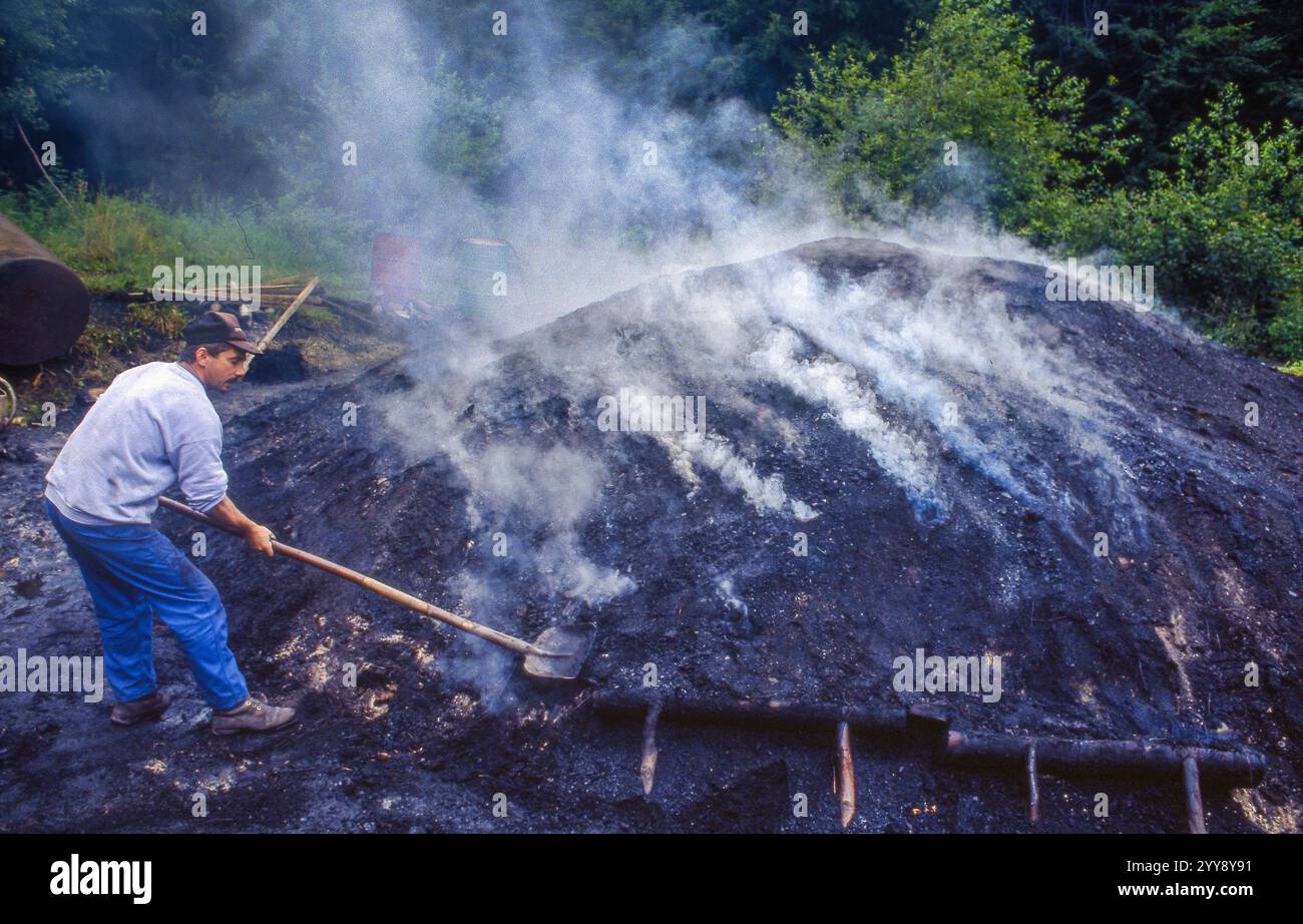 Hungary, craft of turning wood into charcoal by carbonization, to make ...
