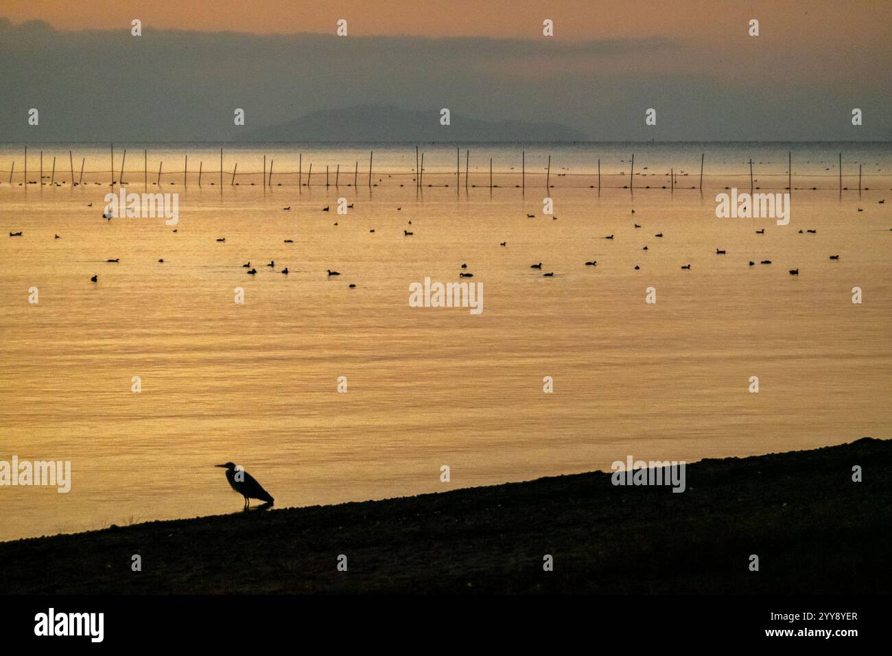 Northwest side of Lake Biwa in Shiga Prefecture Japan Stock Photo - Alamy