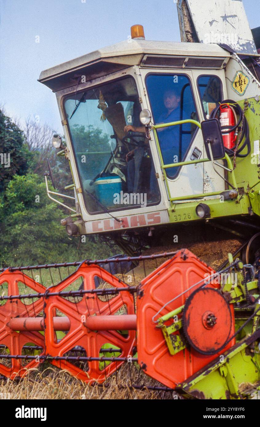 Hungary, mechanical harvesting of grain, with a combine harvester Stock ...