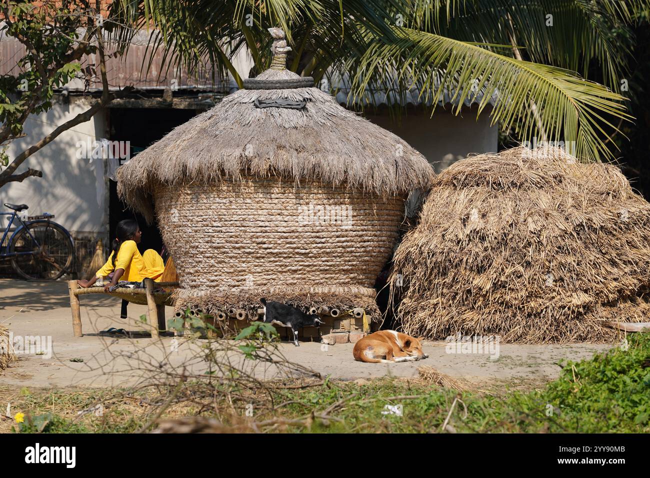 Indigenous paddy granary of a Santal village. Birbhum, West Bengal ...