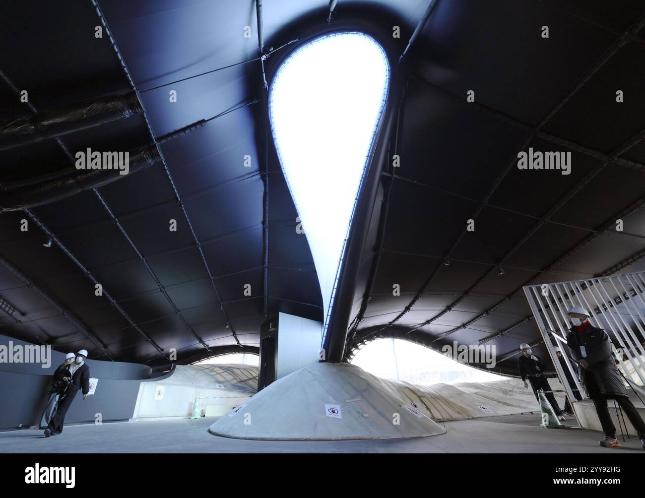 Photo taken on Dec. 20, 2024, shows Dynamic Equilibrium of Life, a ...