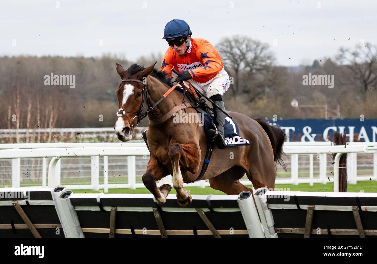 Belliano horse hi-res stock photography and images - Alamy