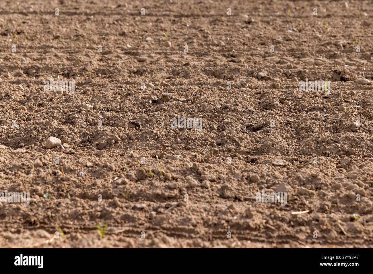plowed fertilized fertile soil for obtaining a new crop of plant food ...