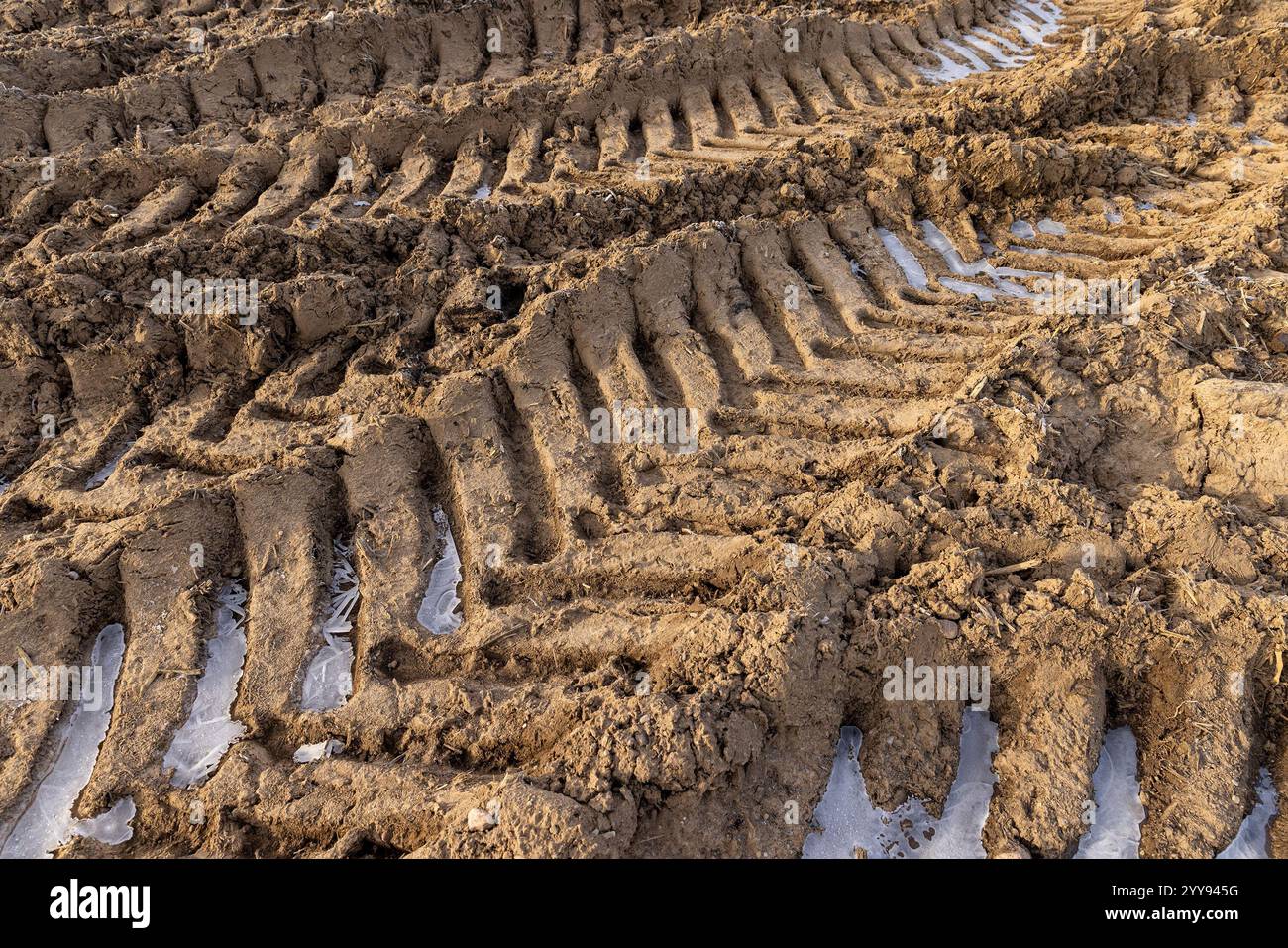 soil covered with snow and frost in a field in ice, an agricultural ...