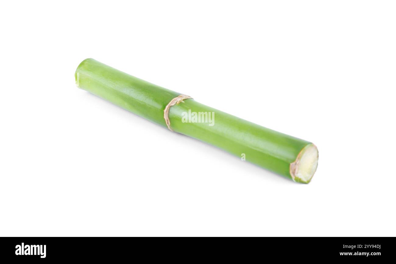 Asian nature bamboo piece hi-res stock photography and images - Alamy