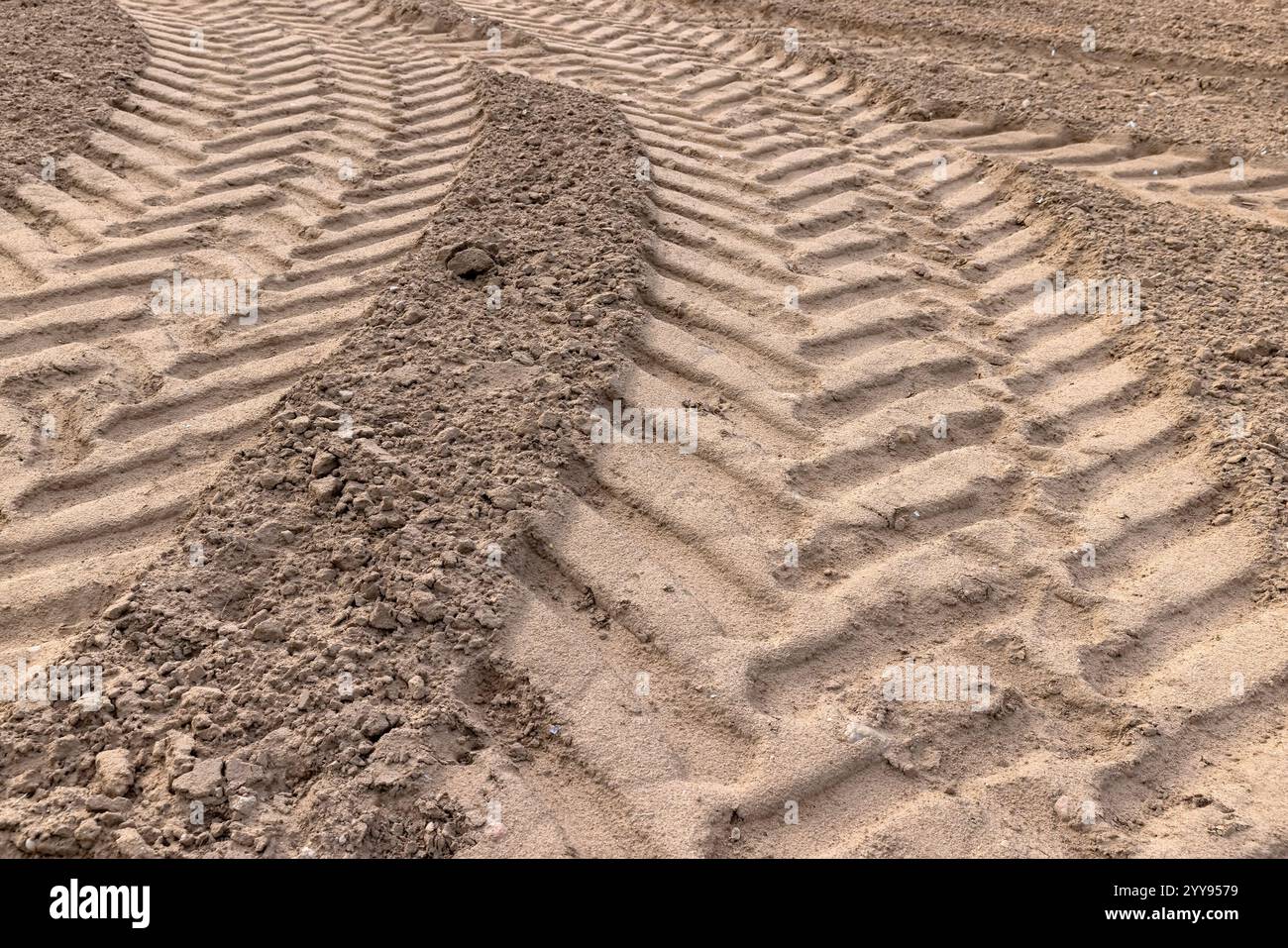 field plowed for planting crops, plowed fertilized fertile soil for ...