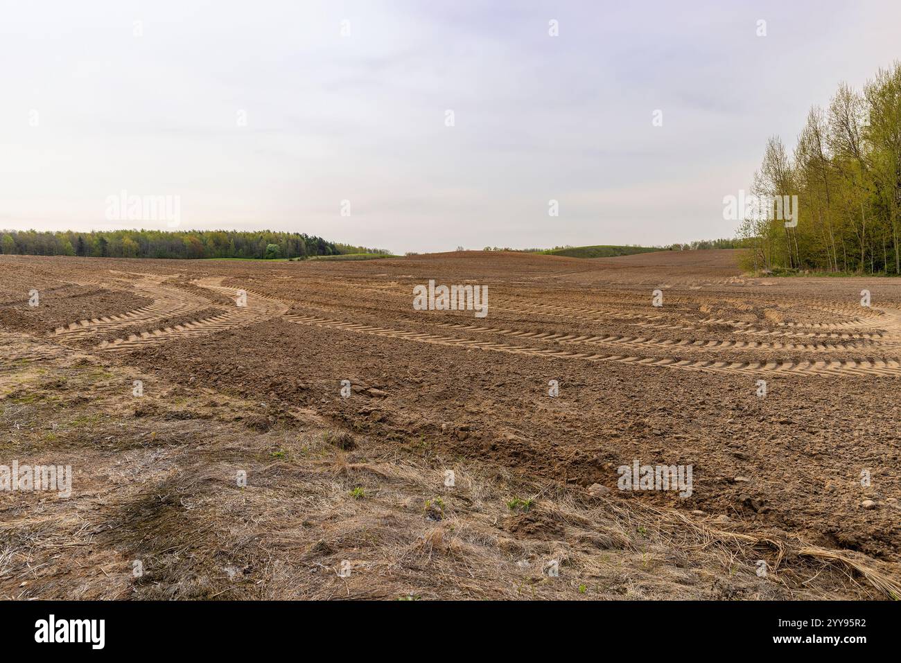 field plowed for planting , plowed fertilized fertile soil for ...