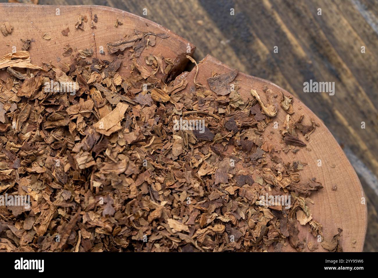 tobacco leaves for cigarettes, a broken and colored cigar made of high ...