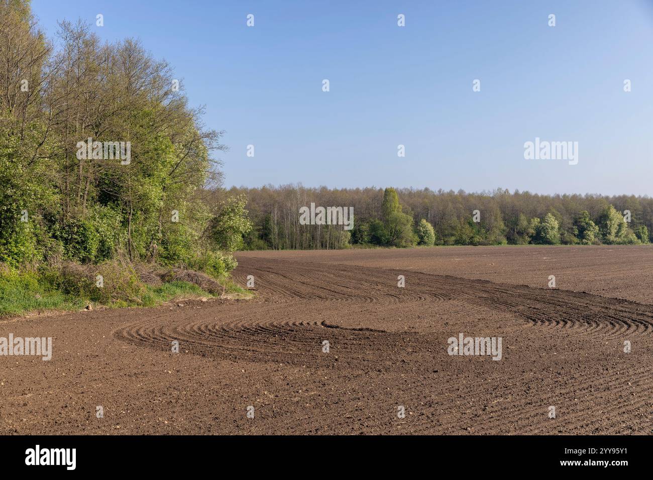 soil for sowing plants in an agricultural field, fertile soil in spring ...