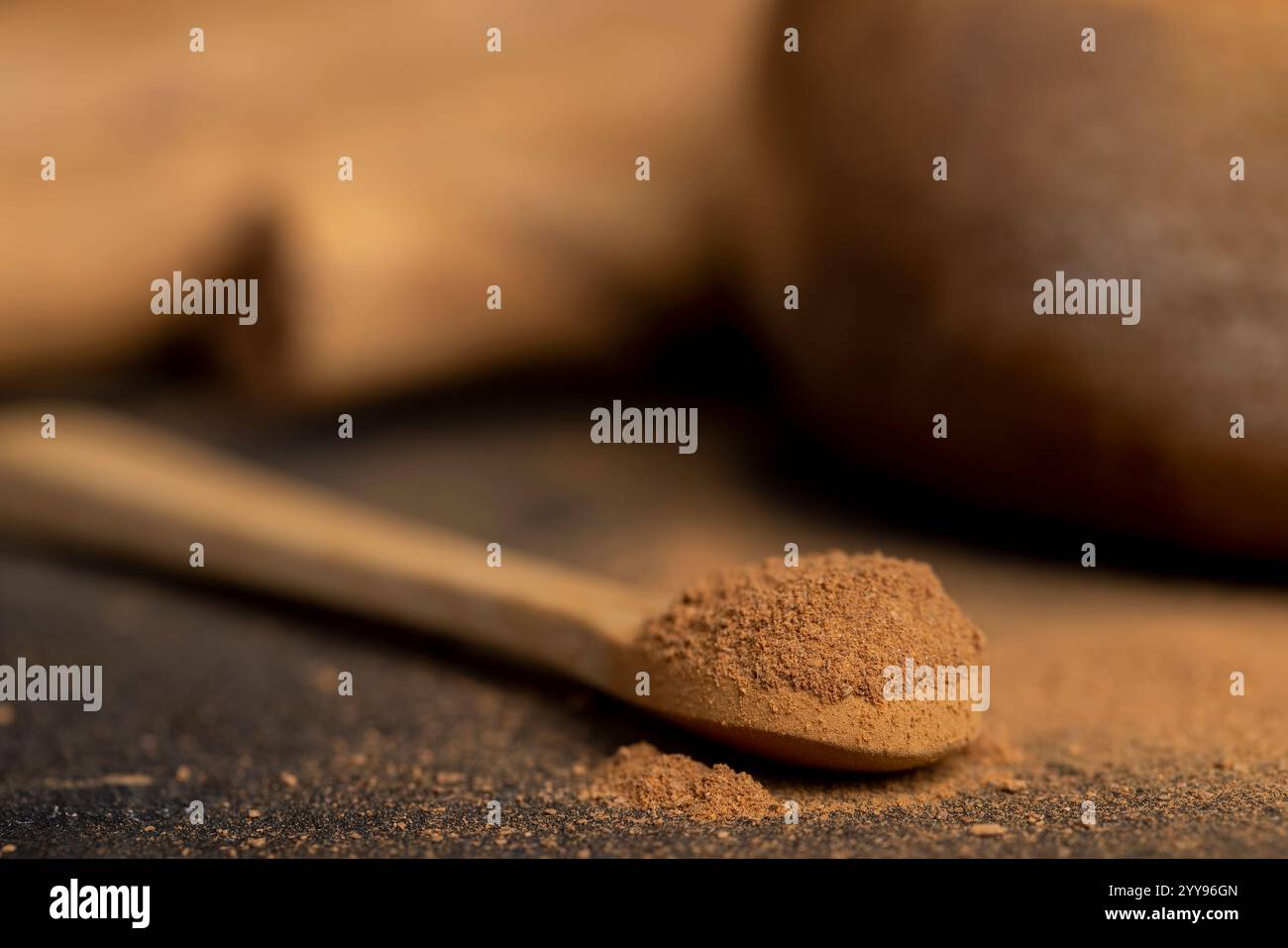 cinnamon tree bark with golden powder, ground and whole cinnamon used ...
