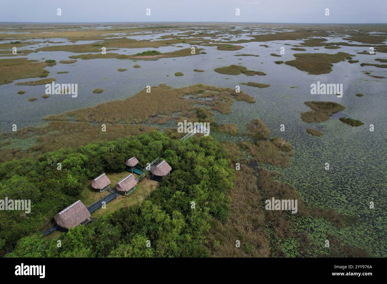 Chickees, or stilt homes, connected by walkways raised above ...