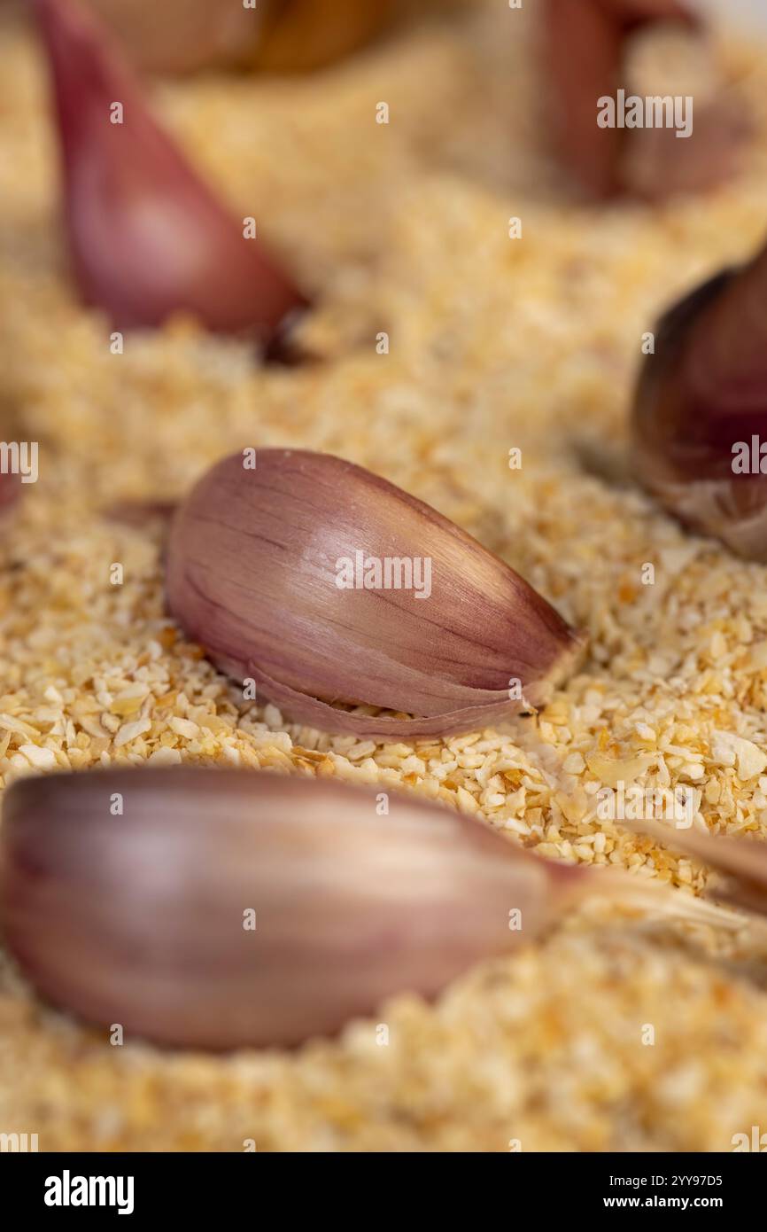 dried garlic fruits for cooking, dried spices from very small pieces of ...
