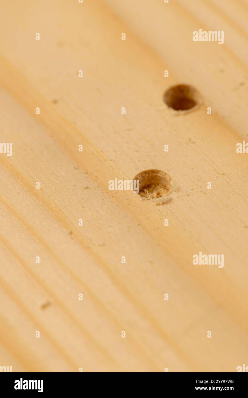 the hole after the drill bit in pine board during operation, close-up ...