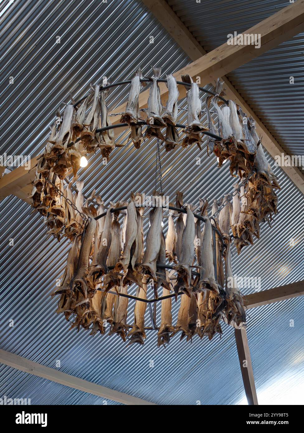 Fish drying on frame hi-res stock photography and images - Alamy