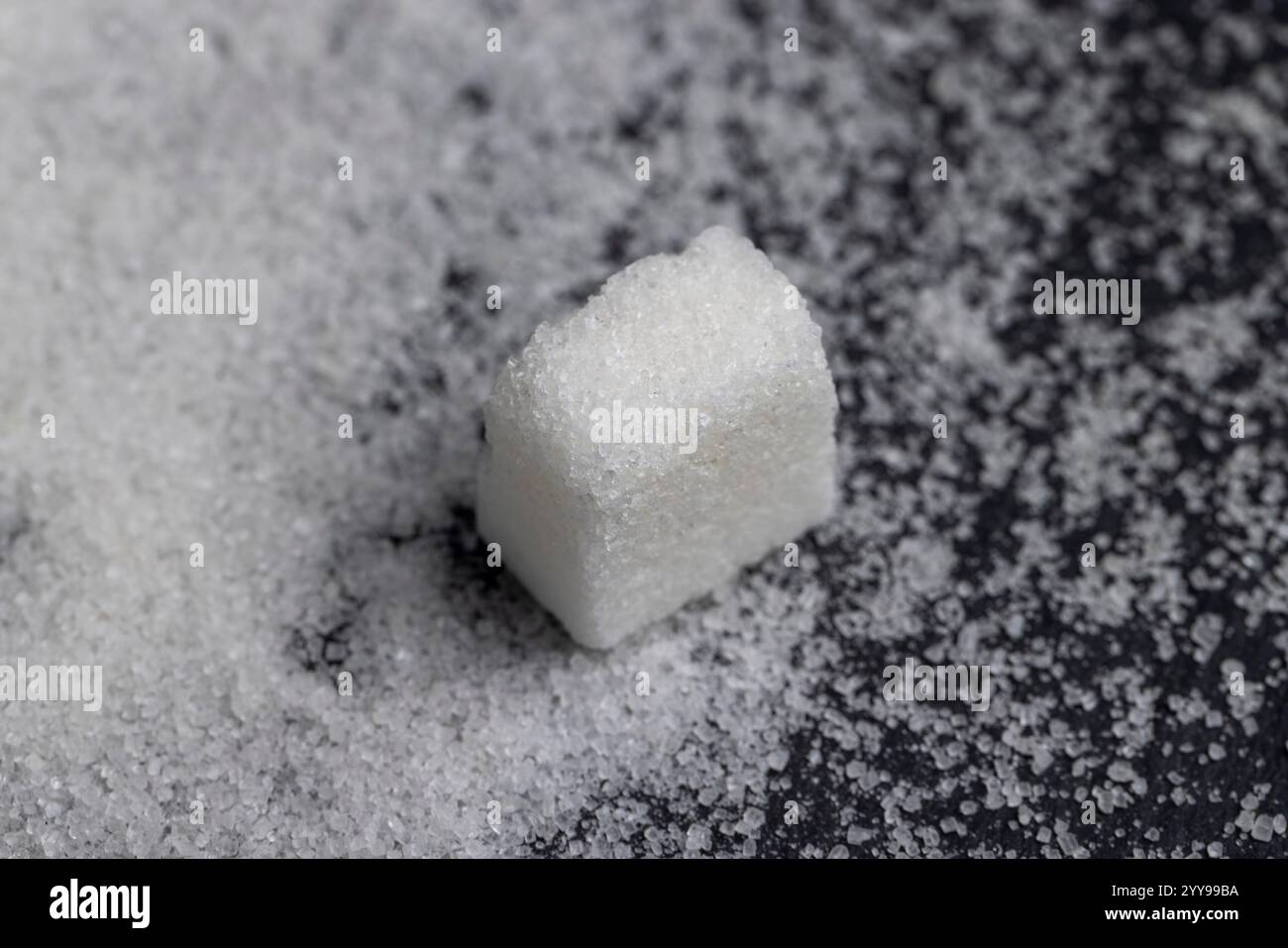 one cubes of refined sugar , white sugar and sugar beet close up Stock ...
