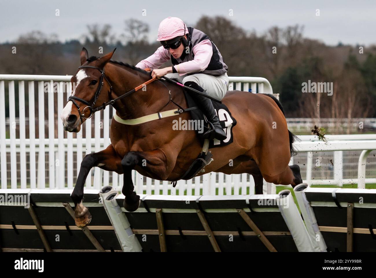 Owner mrs b ansell hi-res stock photography and images - Alamy