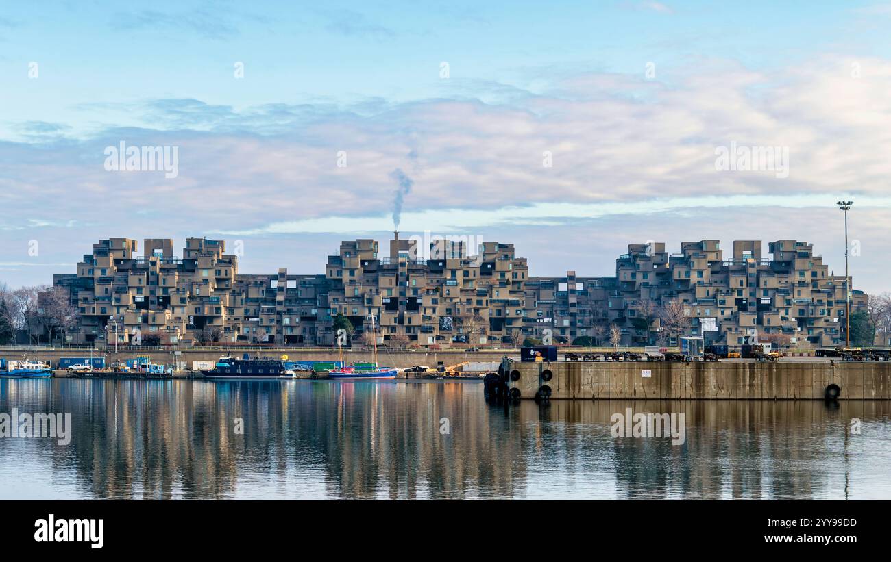 Structure habitat hi-res stock photography and images - Alamy