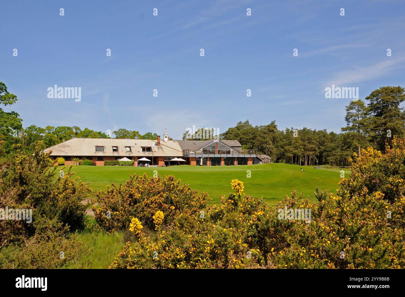 View over 4th Green to the Clubhouse, Hankley Common Golf Club; Farnham ...