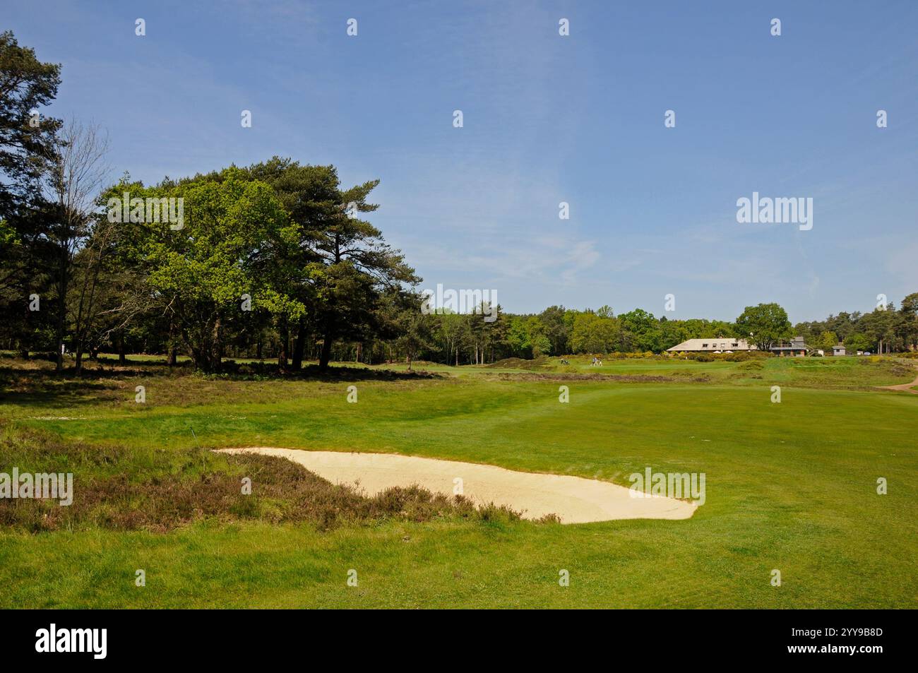 View back down 5th Fairway towards the Clubhouse, Hankley Common Golf ...