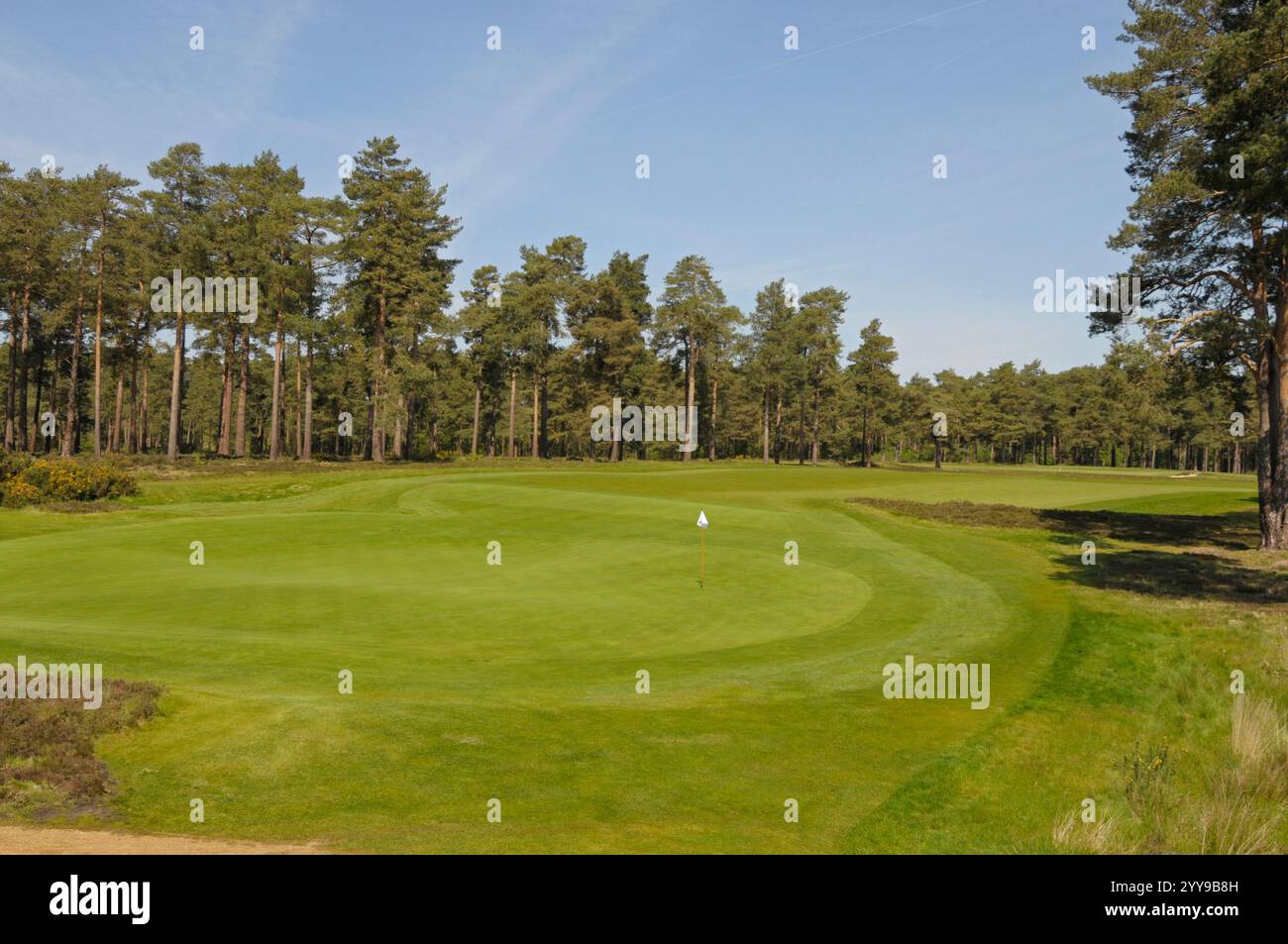 View down over 3rd Green to the Fairway, Hankley Common Golf Club ...
