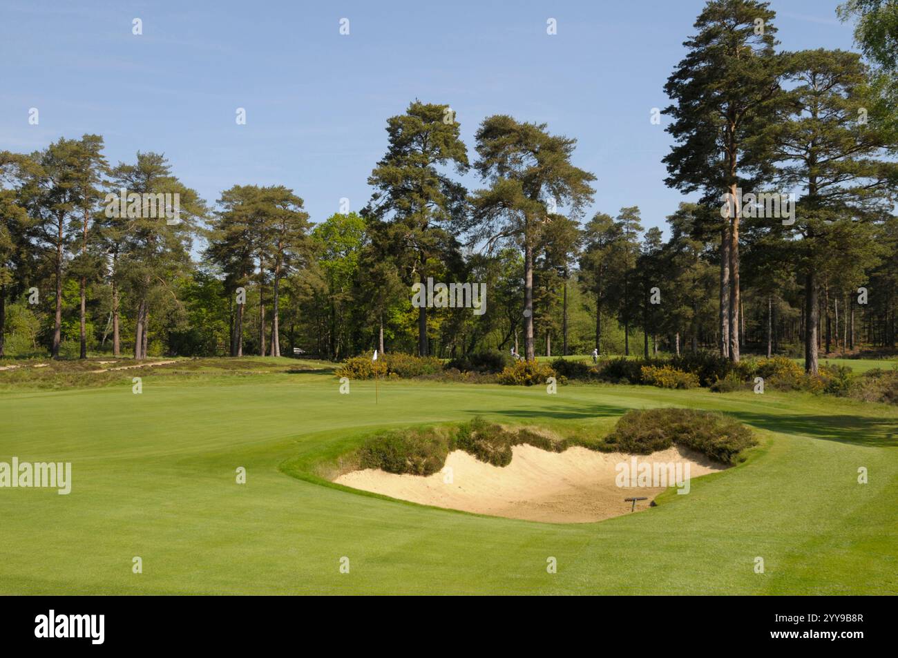 View over bunker to 1st Green, Hankley Common Golf Club; Farnham ...