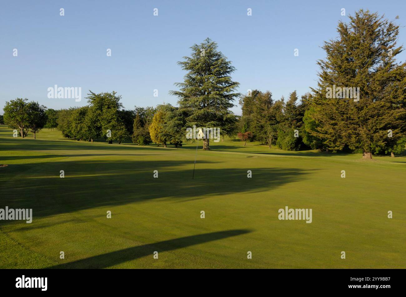 View of 18th Green back towards the Fairway, Mid Kent Golf Club ...
