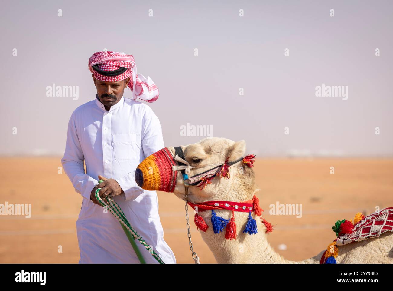 Al-Sayahid, KSA, 14th December 2024: camel rider in traditional ...