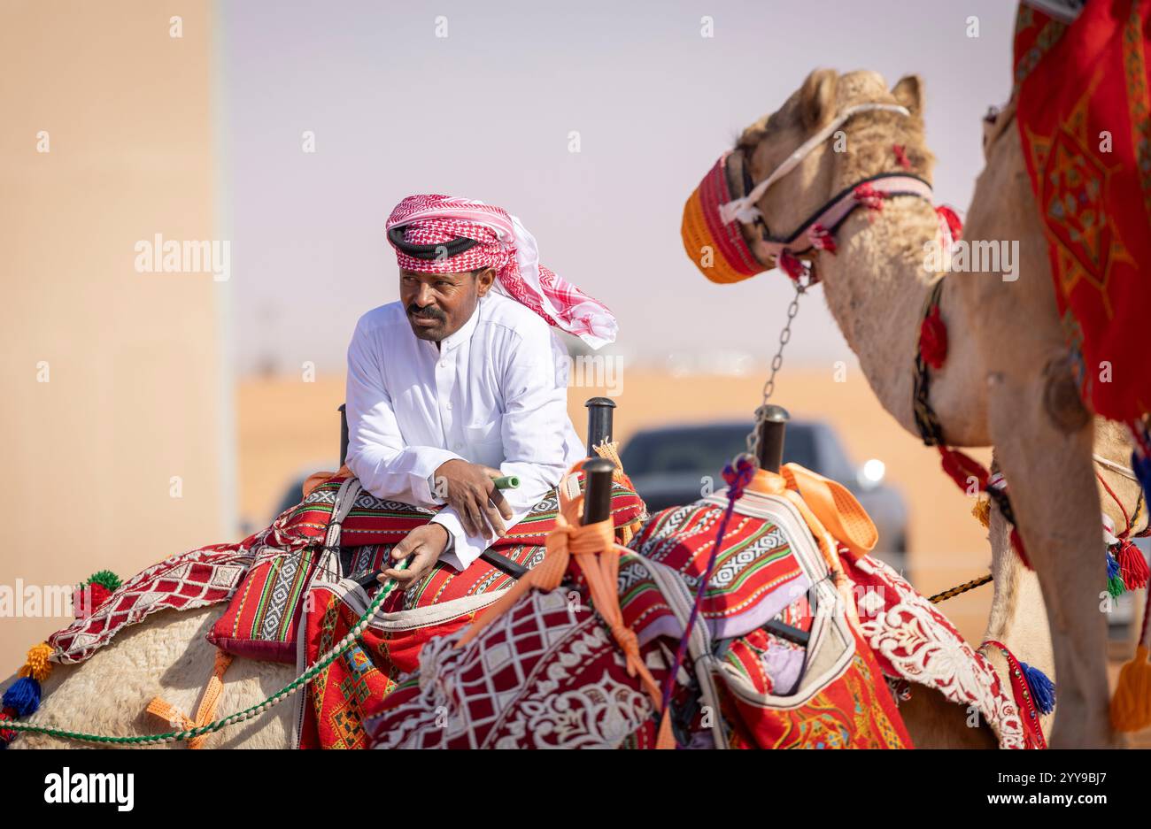 Al-Sayahid, KSA, 14th December 2024: camel rider in traditional ...