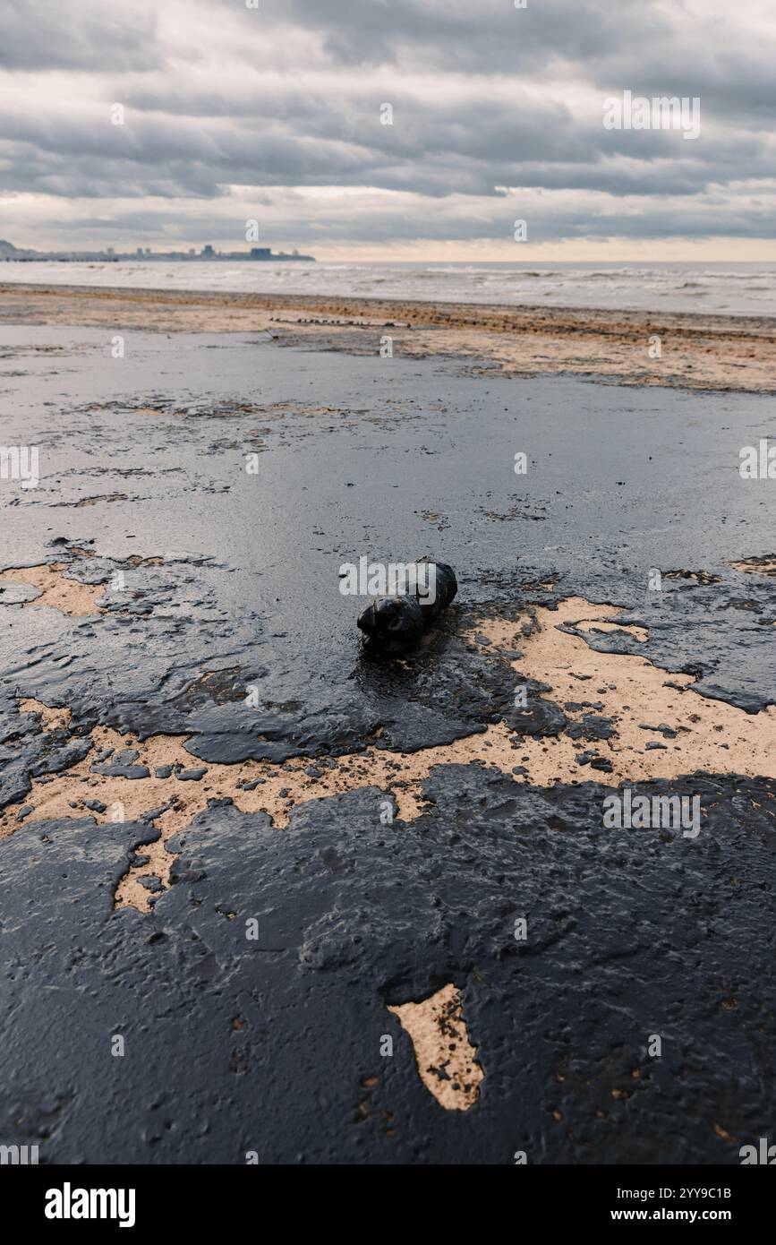 Fuel oil in sea coastline after a tanker wreck. The beach is polluted ...