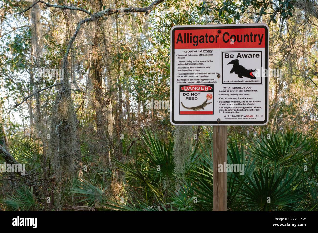 Alligator warning sign in Georgia Stock Photo - Alamy