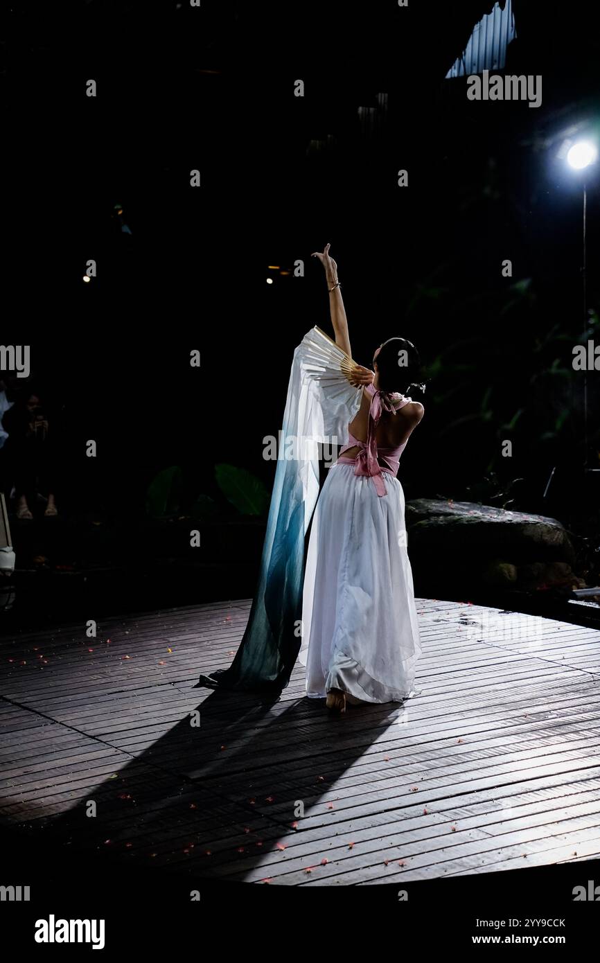 mesmerizing dance performed by a profesional Vietnamese dancer Stock ...