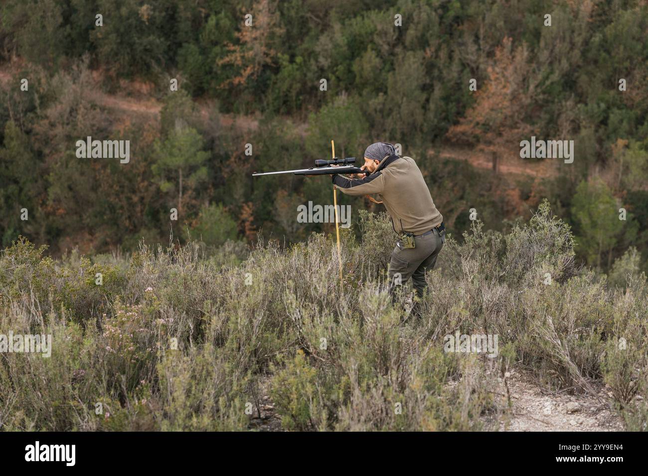 Hunter aiming with rifle in forest landscape Stock Photo - Alamy