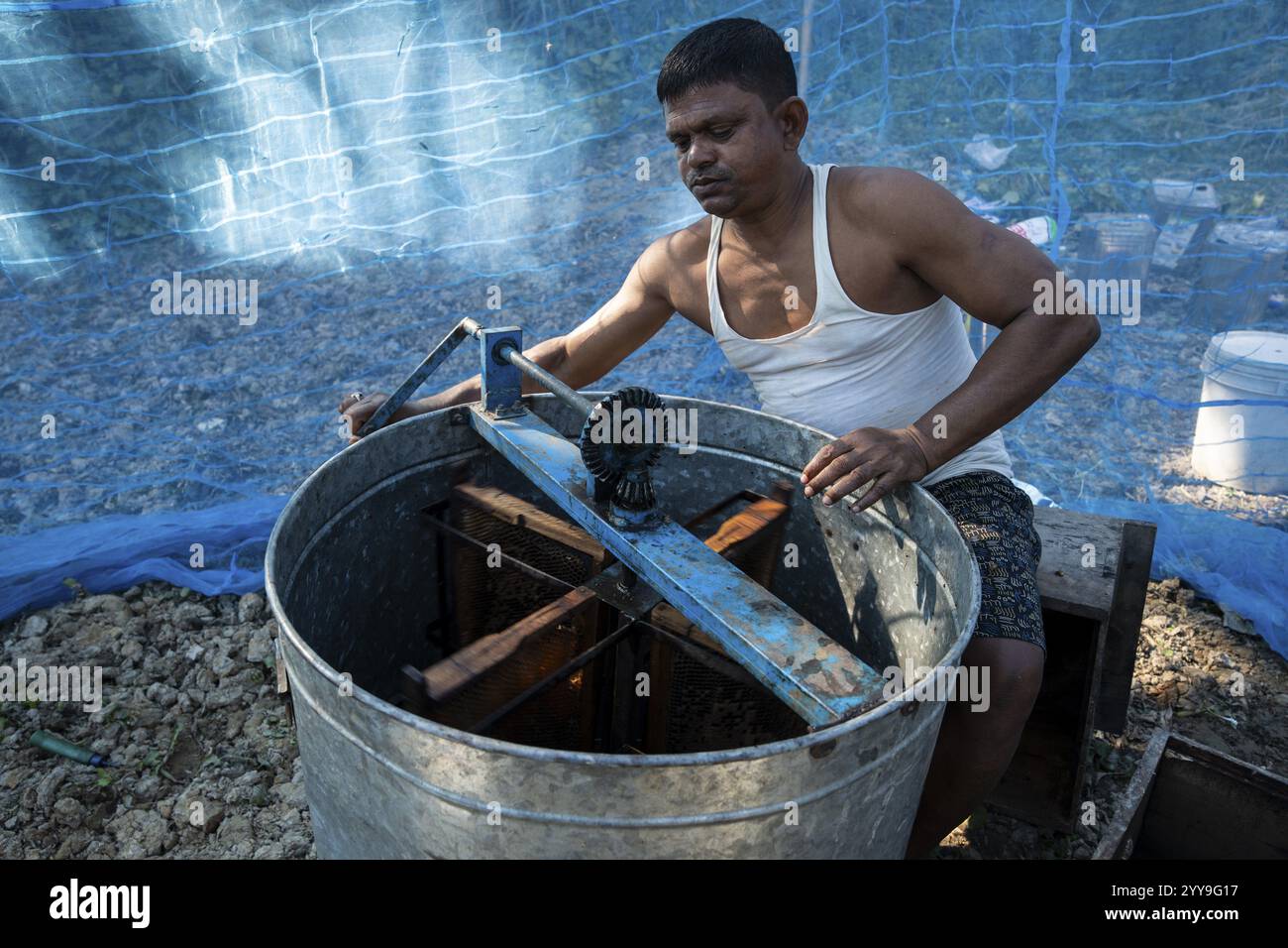 Beekeeper extracting honey in a machine from honeycombs in a honey ...