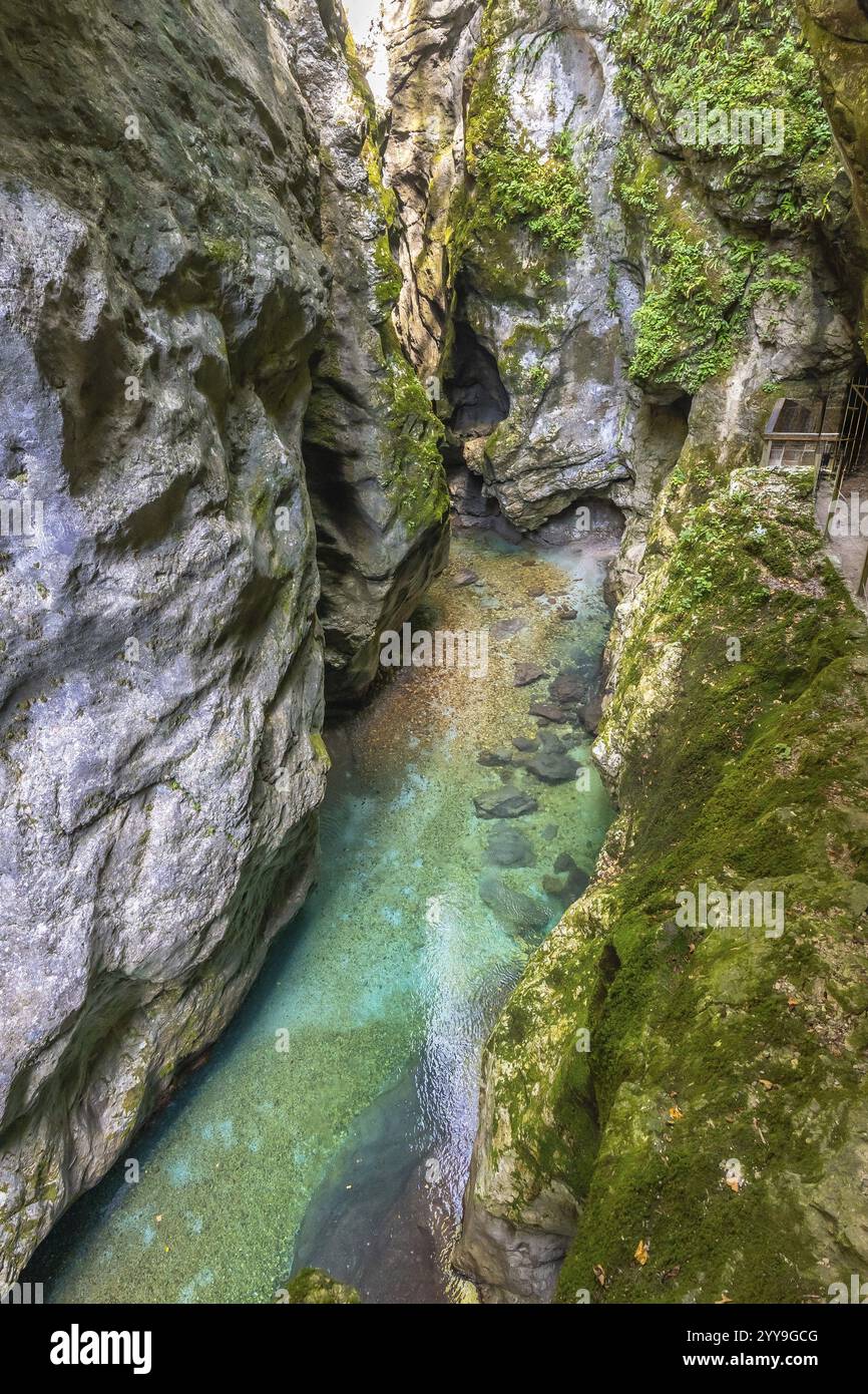 Breathtaking view of tolmin gorges, a stunning natural wonder with ...