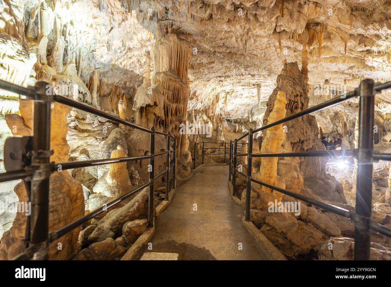 Tourists enjoy a train ride through the illuminated walkways of ...