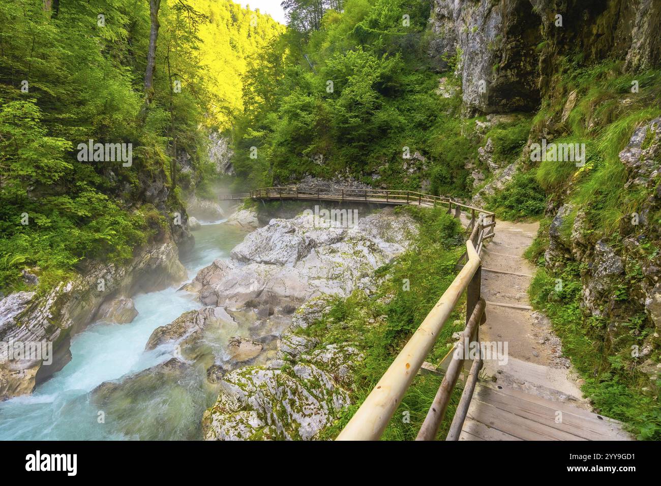 Scenic wooden walkway winding through the stunning vintgar gorge near ...