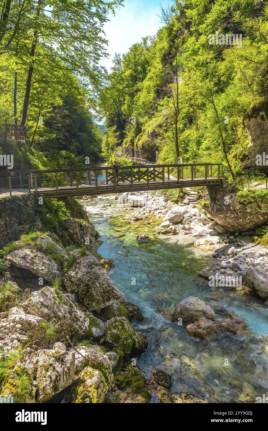 Turquoise colored tolminka river flowing through tolmin gorges in ...