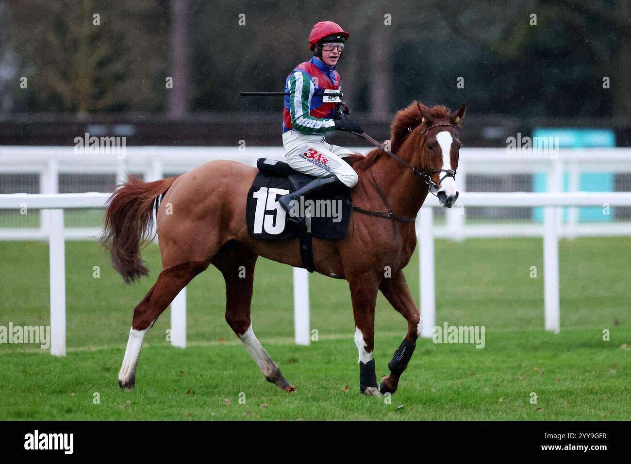 Windbeneathmywings ridden by Jack Tudor after winning the King Edward ...