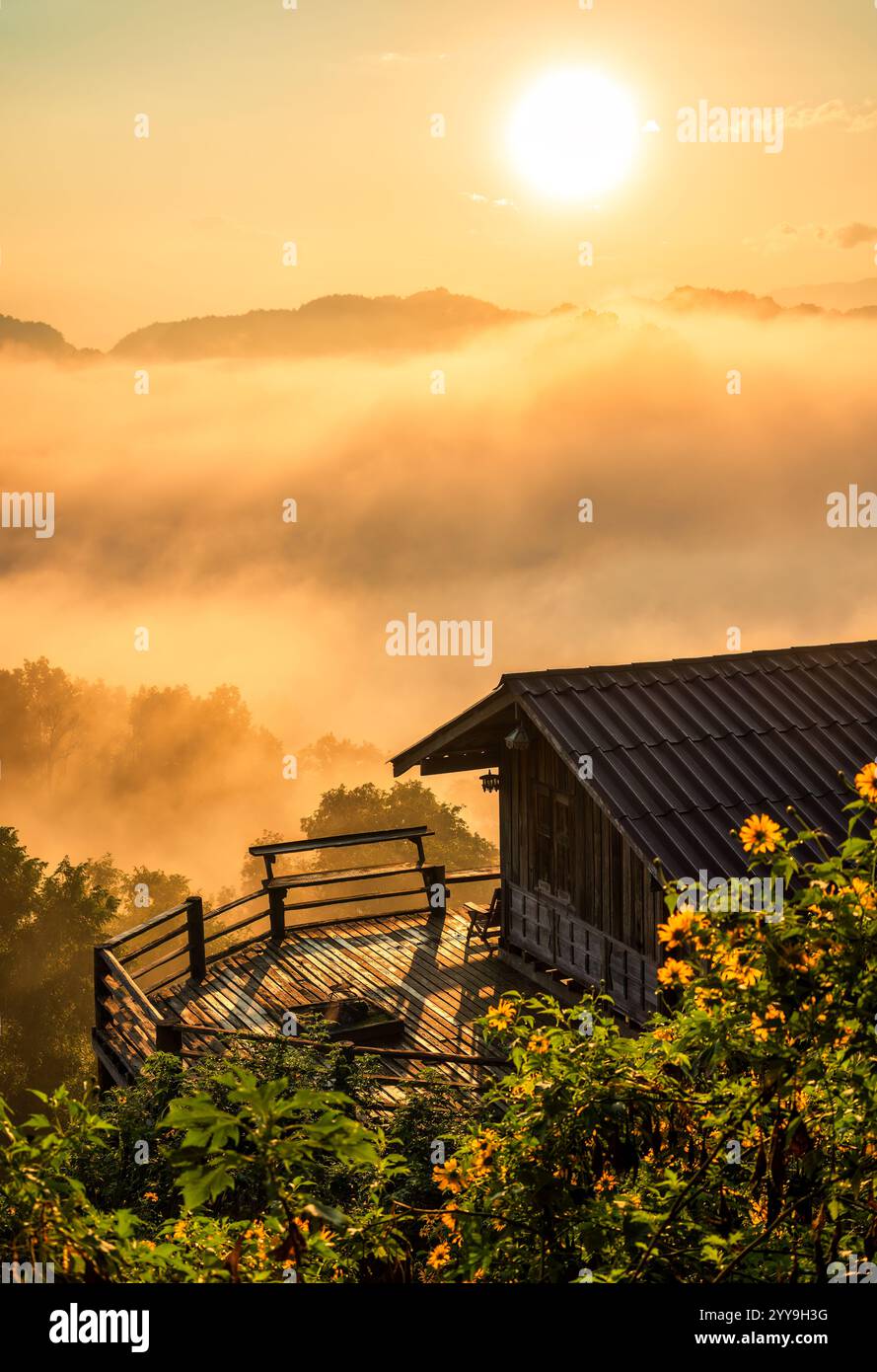 Beautiful golden sunrise over wooden homestay with foggy and Tree ...