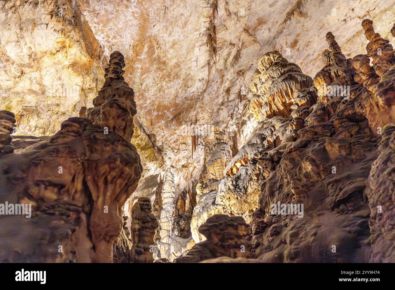 Breathtaking view of illuminated stalagmites and stalactites forming ...