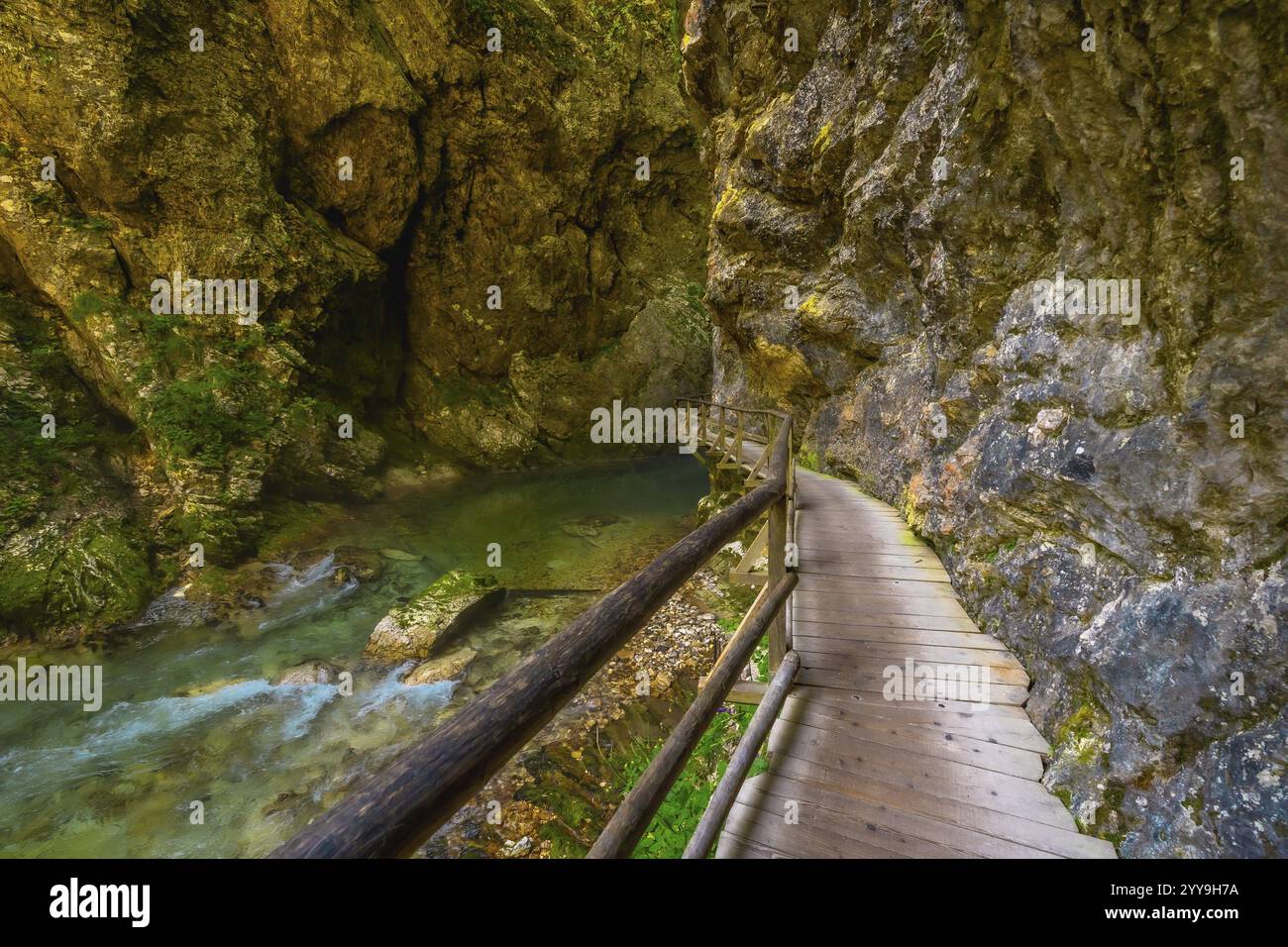 Scenic wooden walkway along radovna river in vintgar gorge near bled, a ...
