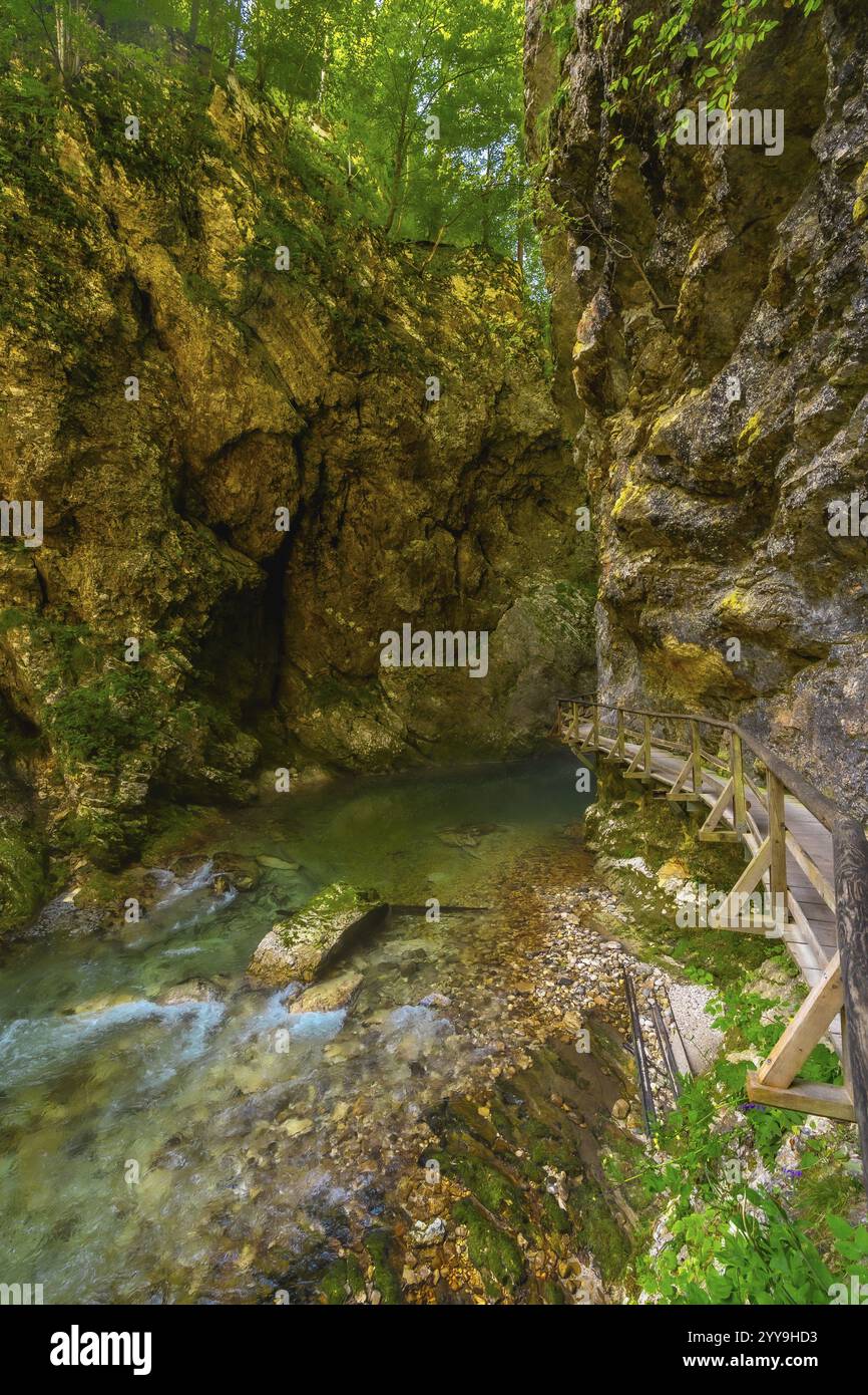 Breathtaking wooden walkway crossing an emerald green river in the ...