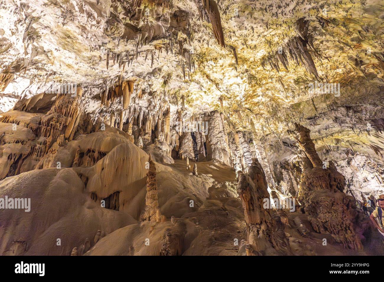 Tourists marveling at stunning stalactites and stalagmites lit by ...