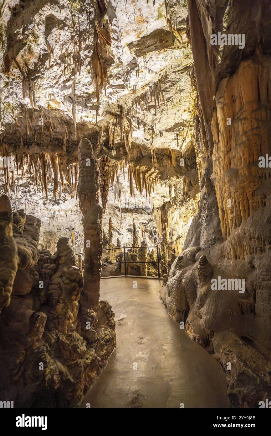 Pathway winding through illuminated stalactites and stalagmites inside ...