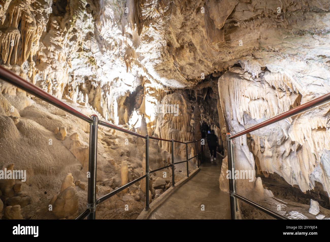 Tourists walking on a footpath and exploring the magnificent postojna ...