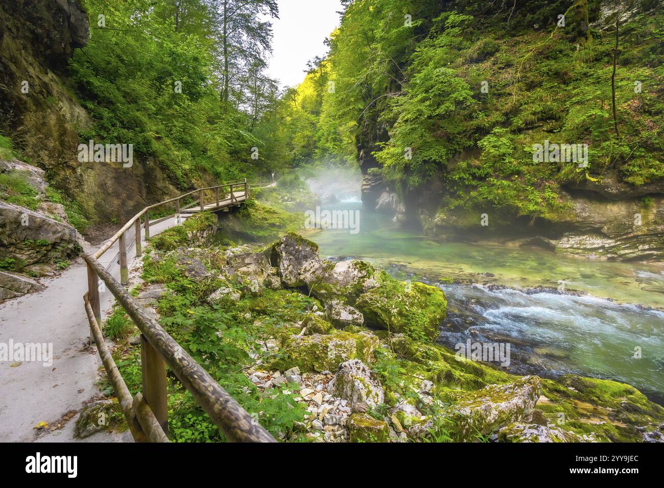 Breathtaking scenery of vintgar gorge with wooden walkway along radovna ...
