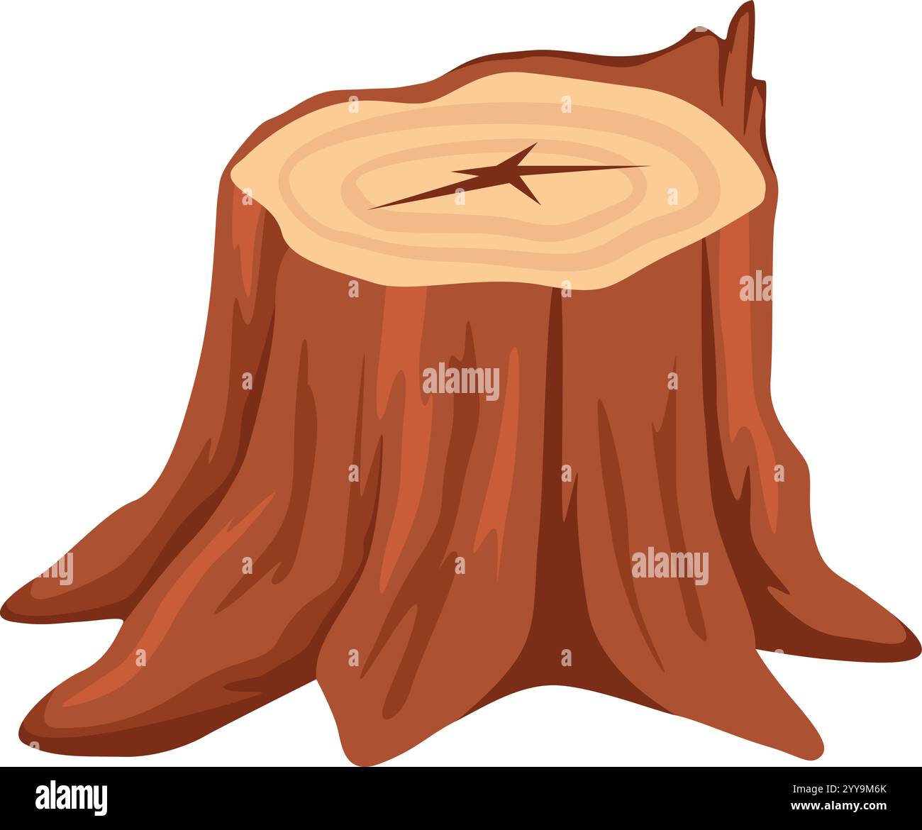 Tree stump resulting from deforestation process showing growth rings ...