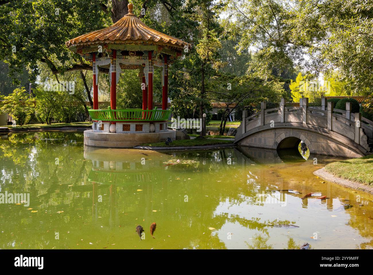 Chinese Garden in Zurich Stock Photo - Alamy