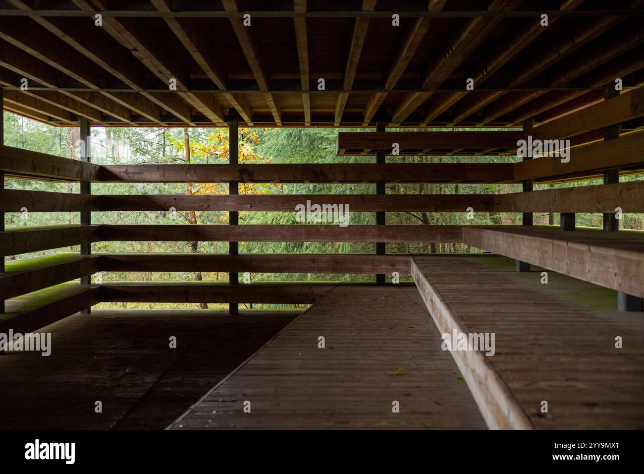 the bird watching shelter inside, concept of nature reserve activity ...