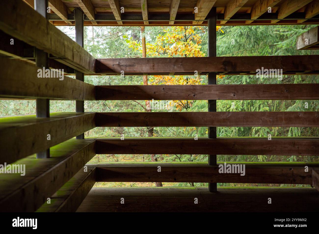 the bird watching shelter inside, concept of nature reserve activity ...